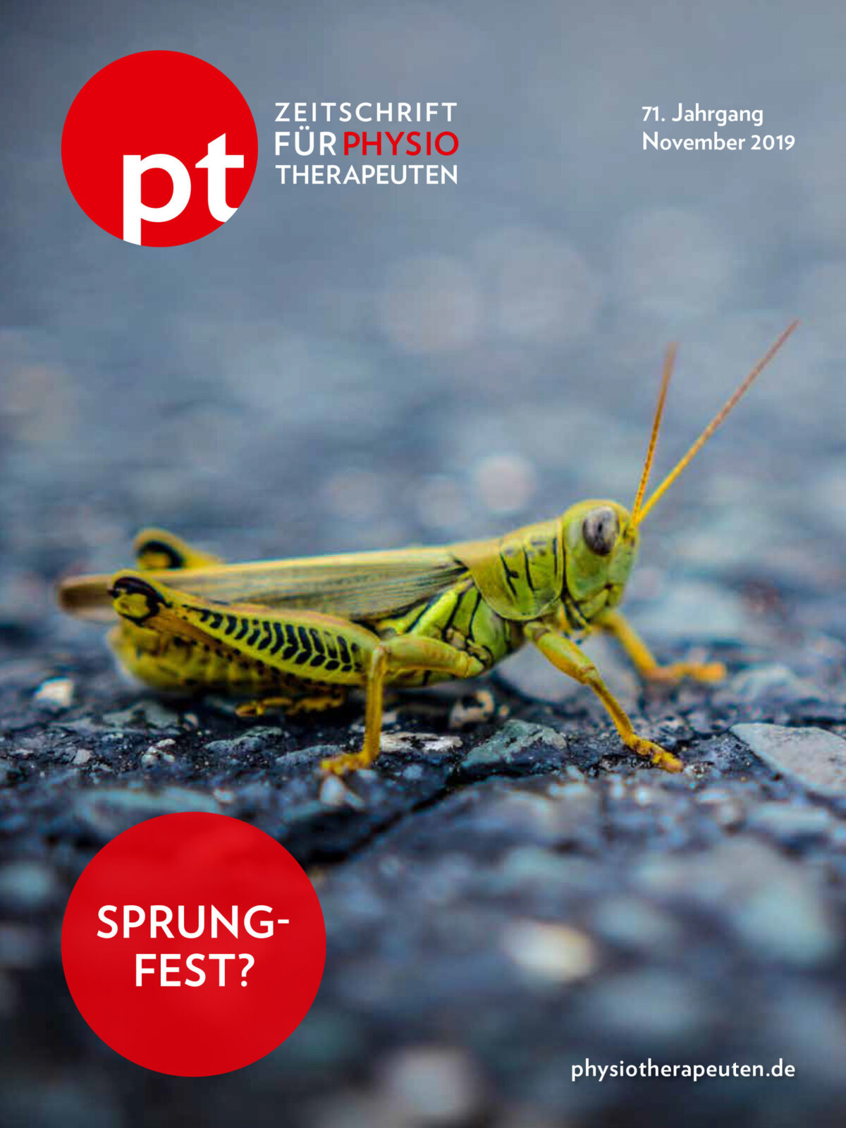 pt November 2019 • pt Zeitschrift für Physiotherapeuten