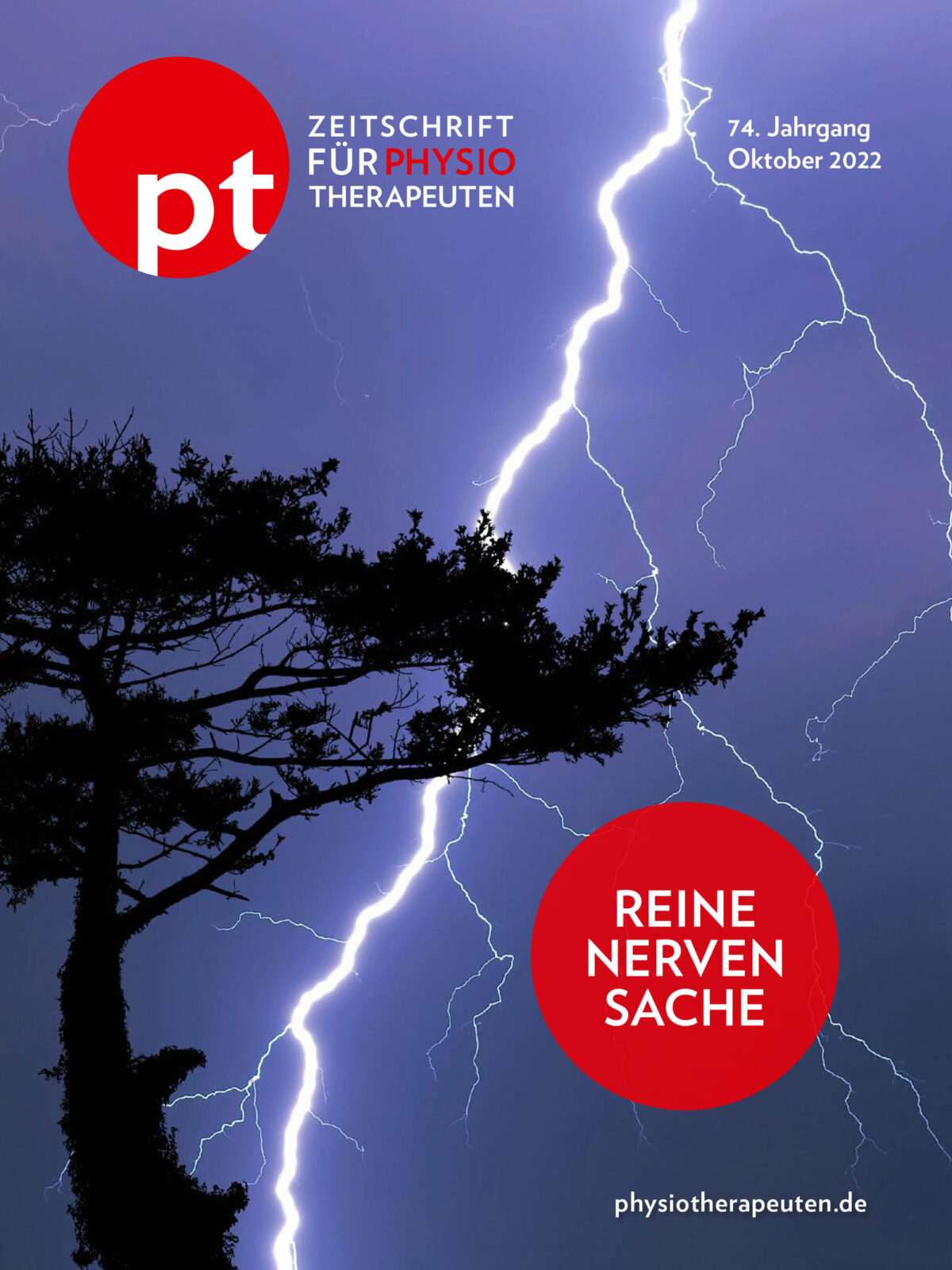 COPD: Welche Maßnahmen der pulmonalen Rehabilitation sind am effektivsten? • pt Zeitschrift für ...