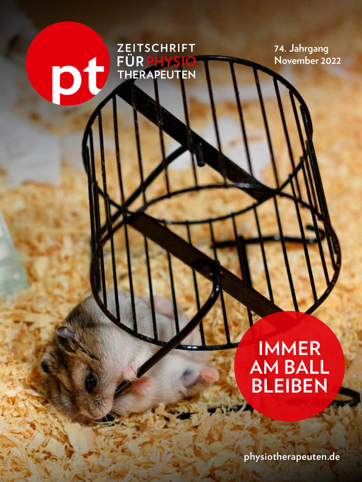 Therapiefortschritt in 3D sichtbar machen – SCANECA Haltungsanalyse ...