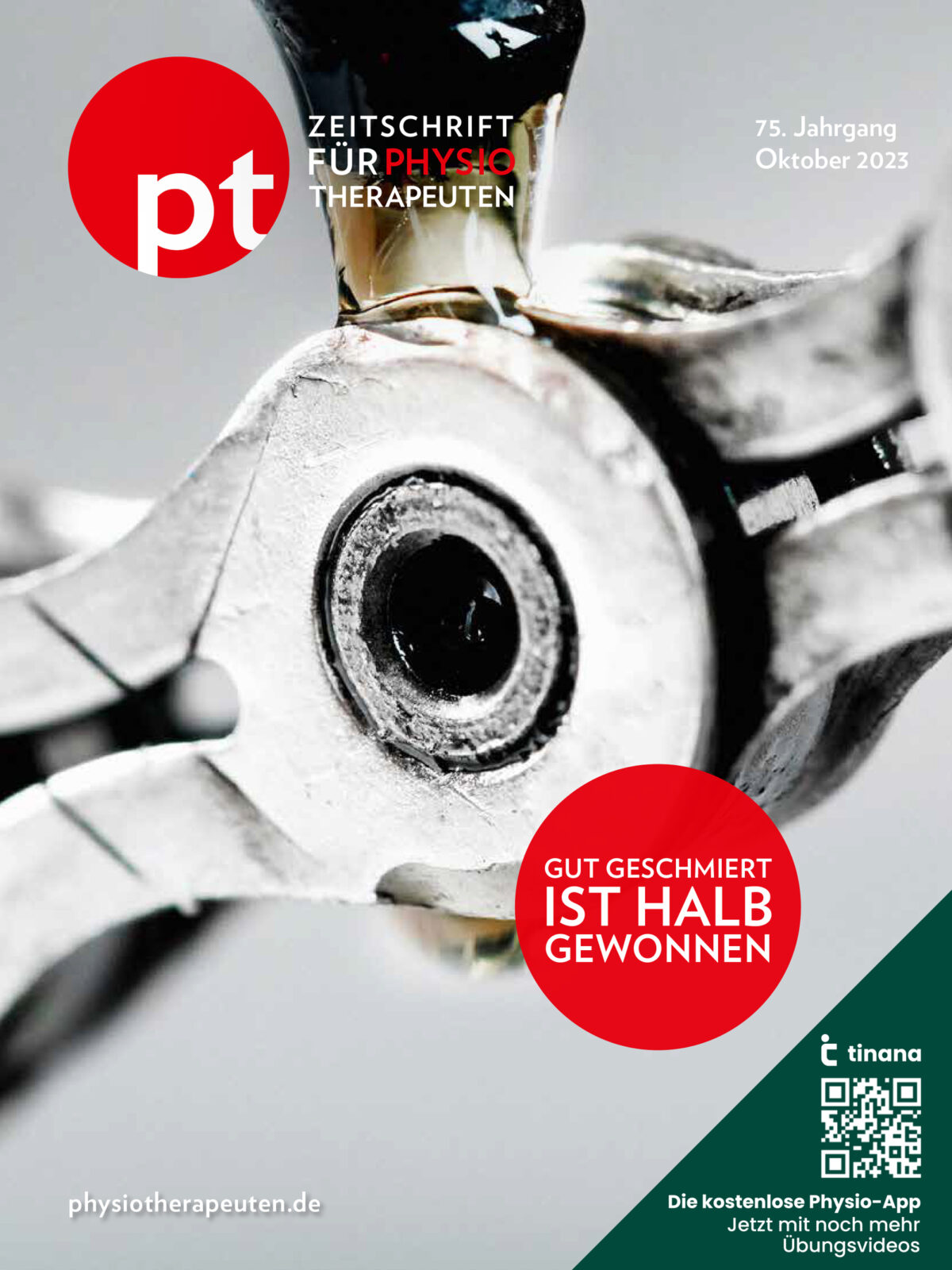 Gehirnerschütterung im Freizeitsport • pt Zeitschrift für Physiotherapeuten