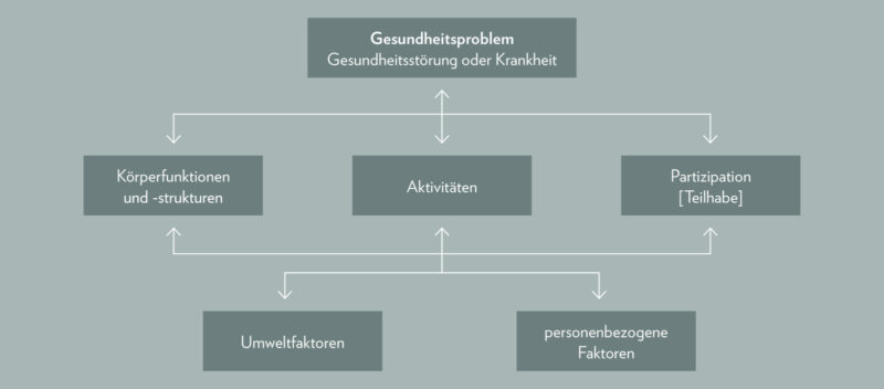 Inside ICF • pt Zeitschrift für Physiotherapeuten